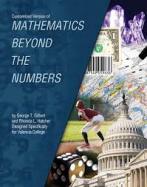 eBook: Mathematics Beyond the Numbers Custom for Valencia College by ...